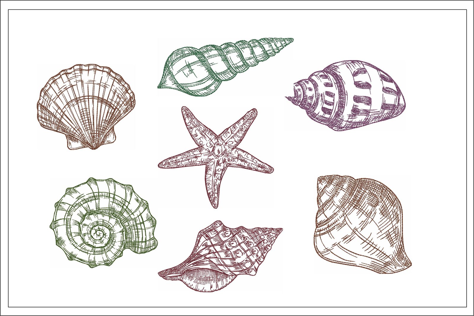 Shell Sketch Embroidery Design Bundle