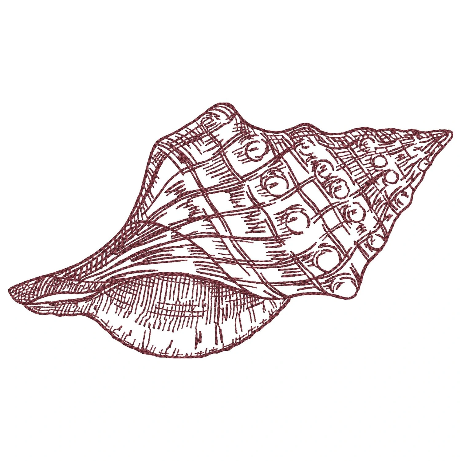 Shell Sketch Embroidery Design 4 – Machine Embroidery